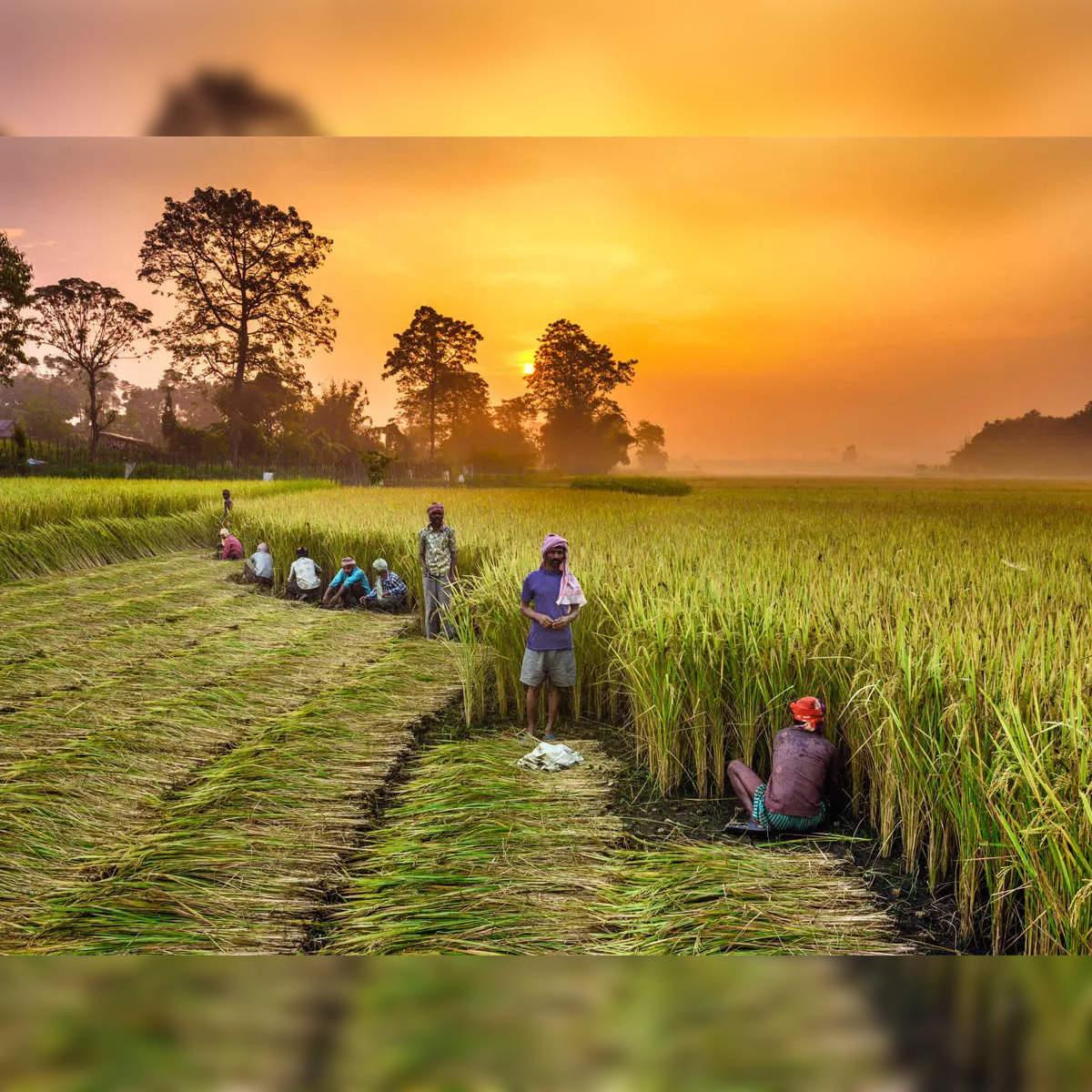 In this post-apocalyptic farming sim, you must grow crops to survive